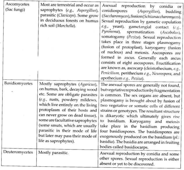 Ncert Solutions For Class 11 Biology Biological Classification Ncertguess